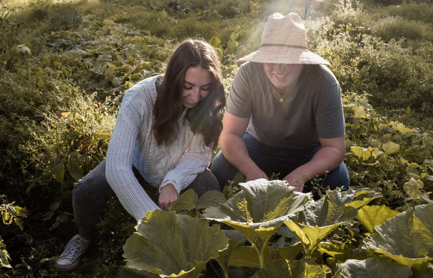Happy Gut - Maureen Welton